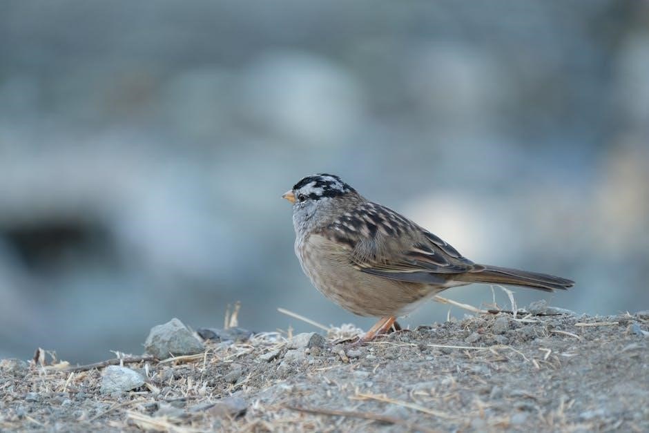 Ground Guiding Signals: Expert Guide for Enhanced Navigation