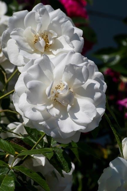 Convert PDF to TNS Instantly - Free Online Converter Tool