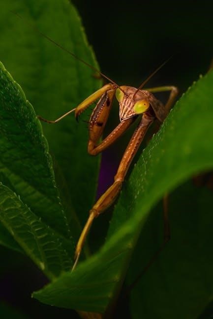 Mantis Tiller Operating Instructions | Easy Gardening Guide