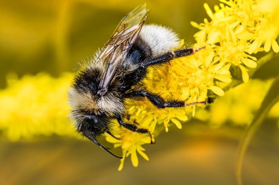 Free PMP Study Guide PDF Download | Pass Your Exam Easily